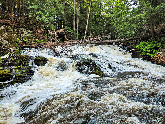 Carp River Falls squeezes through a rocky gorge, creating a natural water show that rewards hikers who venture off the beaten path.