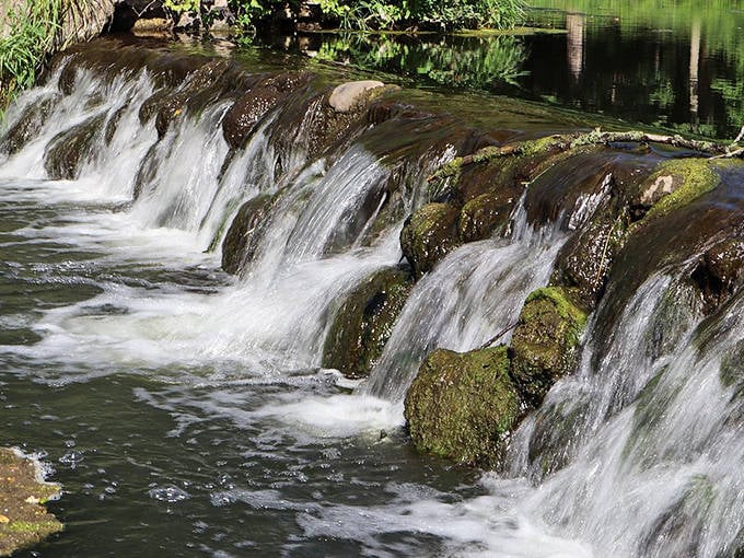 A gentle cascade at Cowling Arboretum creates the perfect soundtrack for a peaceful afternoon of exploration.