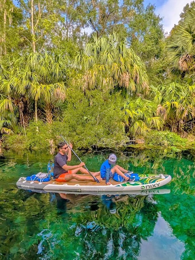 Crystal-clear spring water provides the perfect setting for a peaceful paddleboarding adventure through natural Florida.