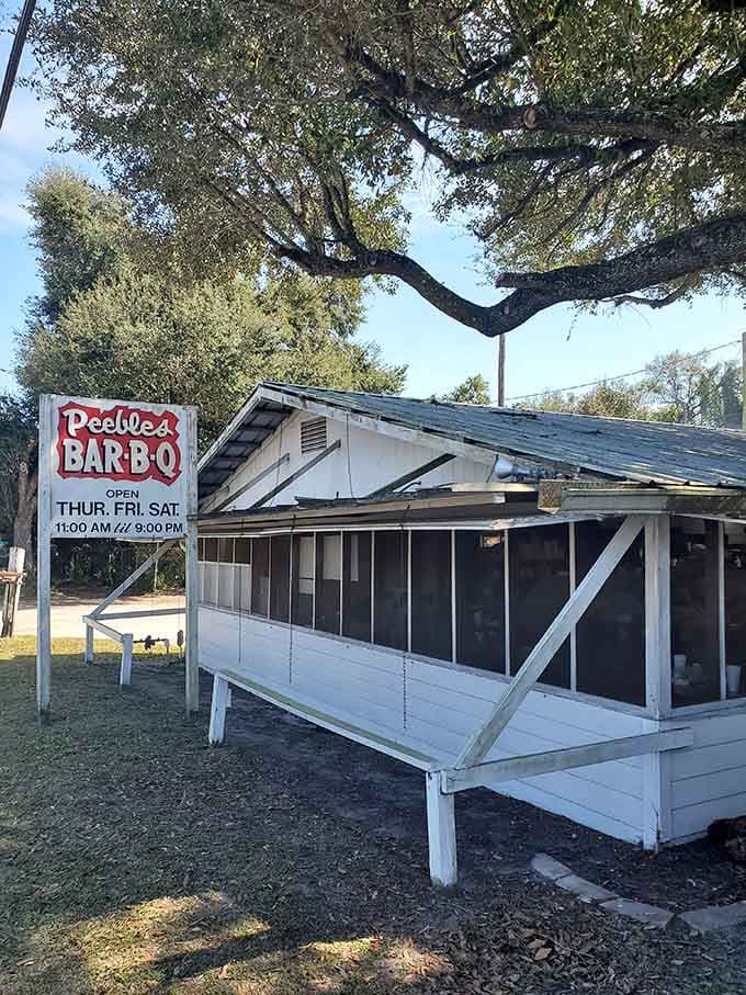 Peebles Bar-B-Q sits under that magnificent oak tree like it grew there naturally decades ago.