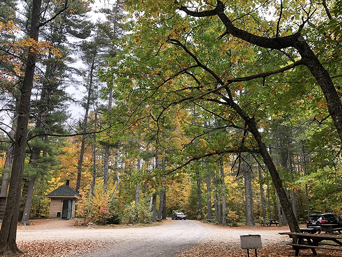 The gentle curves of this Phillips trail lead through meadows where wildflowers dance in summer breezes and wildlife watching becomes second nature.