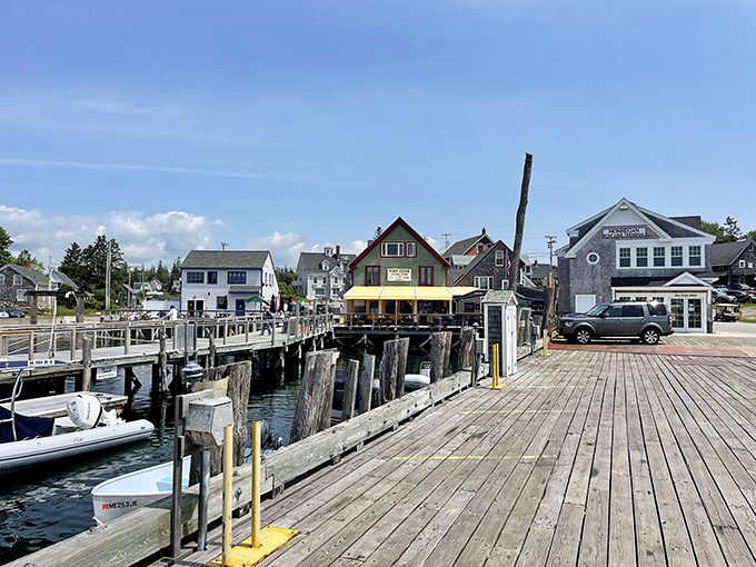 Port Clyde's distinctive lighthouse stands at the peninsula's end, its white tower creating the perfect Maine coastal postcard against rocky shores.