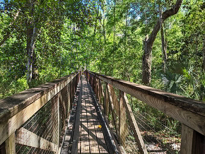 A wooden bridge spans across Ravine Gardens State Park, inviting visitors to cross over and explore the lush landscape that feels like something from a storybook forest.