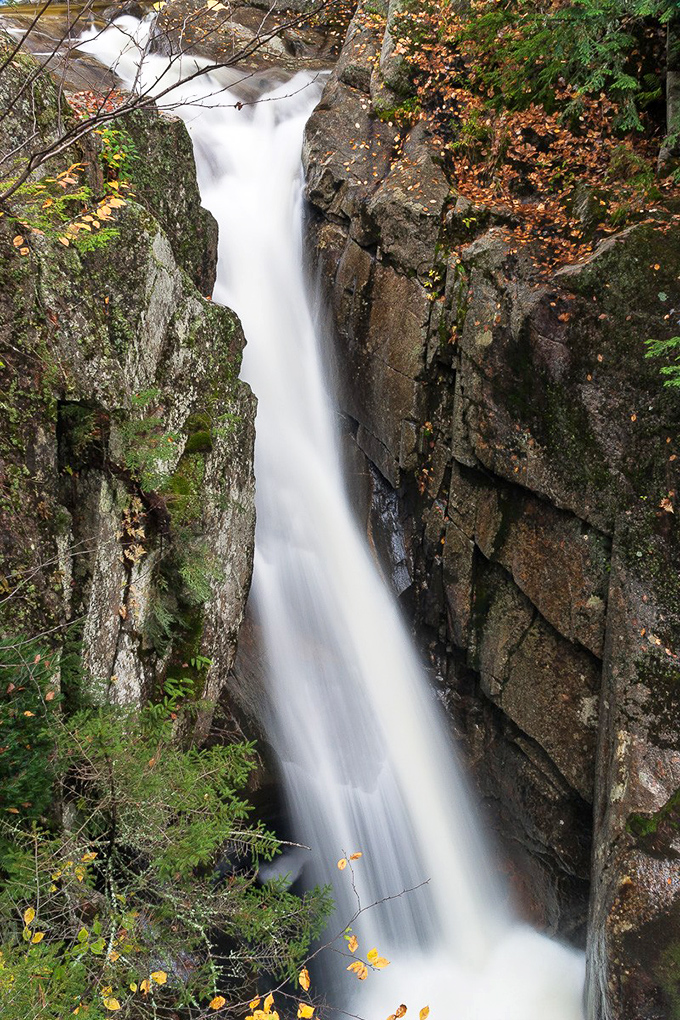 The Cataracts slice through a narrow gorge, with sunlight filtering through the forest canopy onto churning waters below.