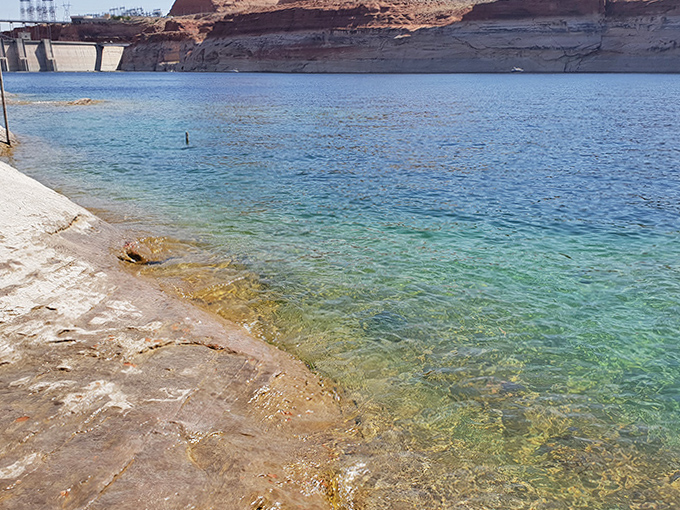 The Chains features stunning red rock formations that slide right into Lake Powell's turquoise waters, creating nature's perfect diving platform.