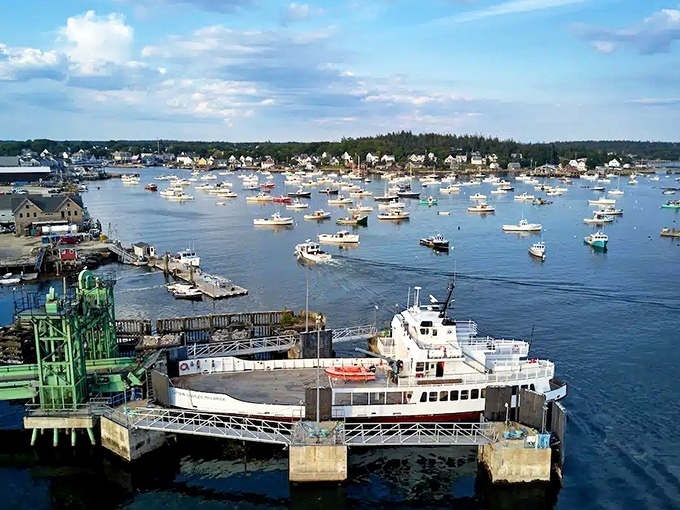 Vinalhaven's working harbor buzzes with authentic Maine lobstering culture, where colorful boats and weathered docks tell stories of island life.
