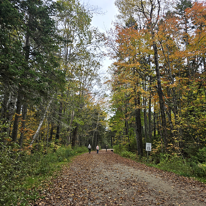 Fall foliage turns ordinary paths into scenes worthy of every calendar photo you've ever seen.