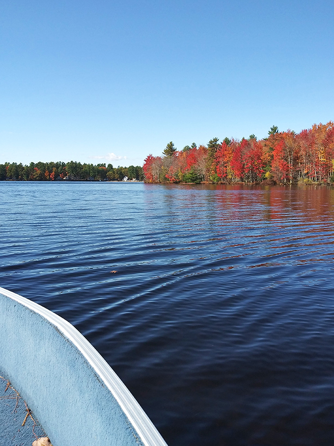 Sunset paints Bonny Eagle Pond in watercolor hues, transforming this local swimming favorite into a canvas of pinks and golds. 