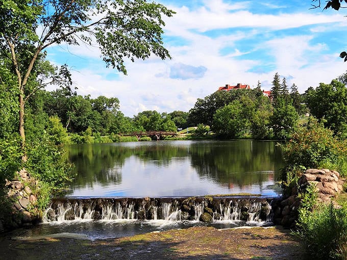 The serene waters of Cowling Arboretum reflect the surrounding greenery, creating a mirror-like surface that photographers love.