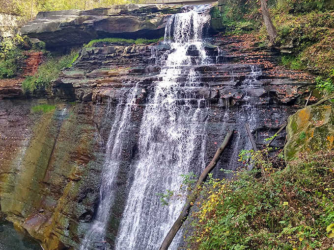 Sunlight dapples through the forest canopy onto Cuyahoga Falls, where clean waters now support thriving wildlife and recreation.