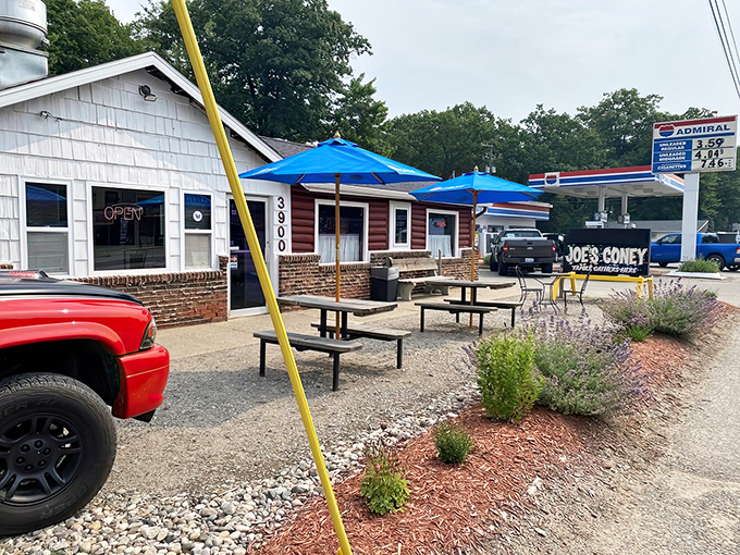 Roadside Coney perfection! Joe's unassuming exterior near Houghton Lake hides some of northern Michigan's most satisfying comfort food.