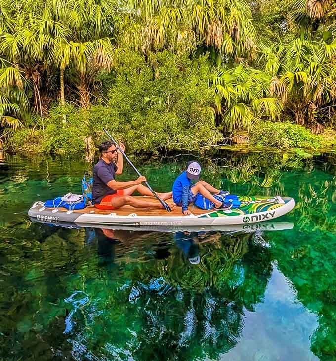 Gliding through Florida's natural springs reveals an underwater world of fish, turtles, and endless blue beauty.