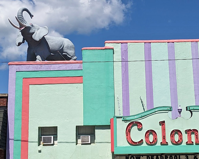Belfast's famous rooftop elephant keeps watch over the town from atop the vibrantly colored Colonial Theatre. Some mysteries are better left unsolved!