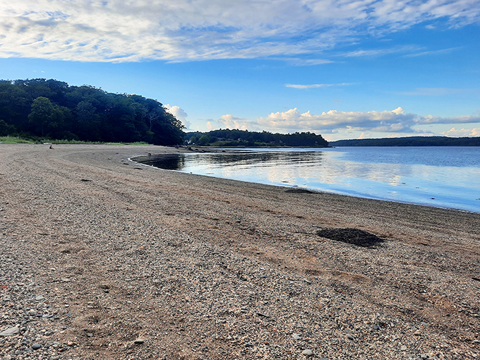 The tide reveals Sandy Point's sandy treasures, with gentle waves that seem to whisper rather than roar.