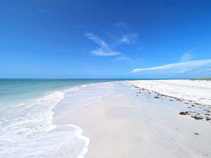 Crystal-clear waters surround a wild barrier island where shells outnumber people and nature runs the show.