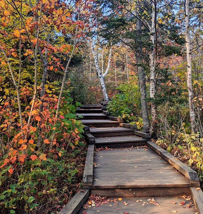 A wooden footbridge spans the river at Tettegouche State Park, where hiking trails lead through forests to dramatic Lake Superior overlooks.