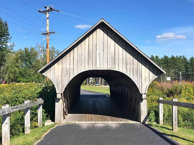 Sunlight illuminates The Big Adventure Bridge's wooden interior, creating a warm invitation to cross into nature's playground.