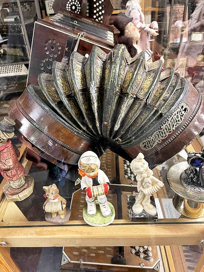 This antique concertina, with its weathered bellows and intricate metalwork, whispers stories of the hands that once coaxed melodies from its buttons.