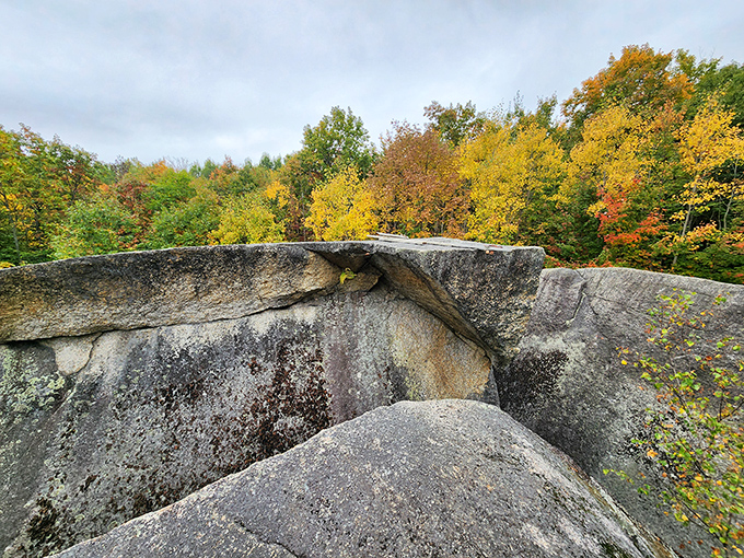 Autumn transforms Daggett Rock into a canvas of contrast, where ancient gray granite meets the fiery seasonal display of New England's famous foliage.