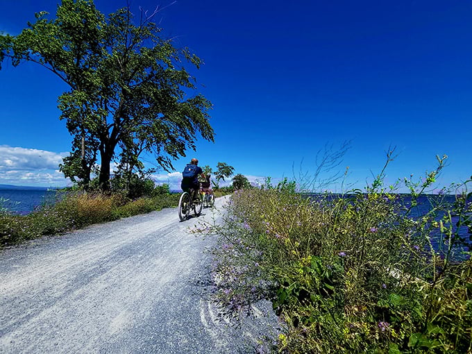 Cyclists enjoying the perfect blend of exercise and scenery – burning calories never looked this good!