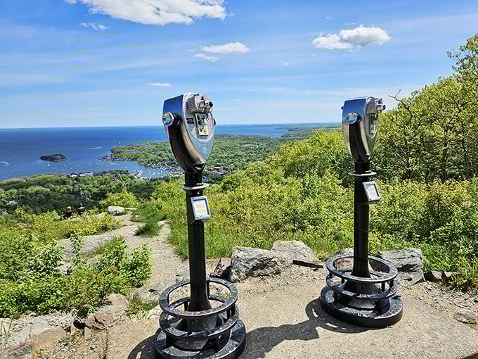 Penny for your thoughts? These vintage viewfinders offer more than just magnification &ndash; they're time machines to simpler days.