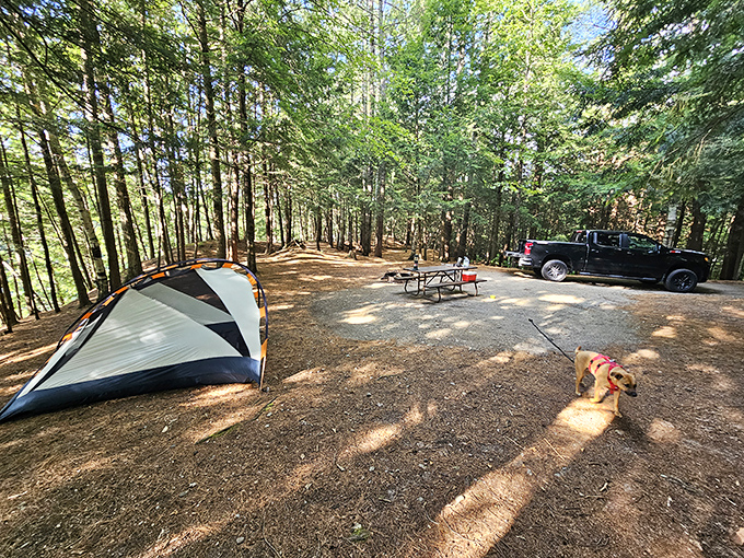 Camping nirvana achieved! This perfect site combines all the comforts of home with that "am I really allowed to sleep somewhere this beautiful?" feeling.