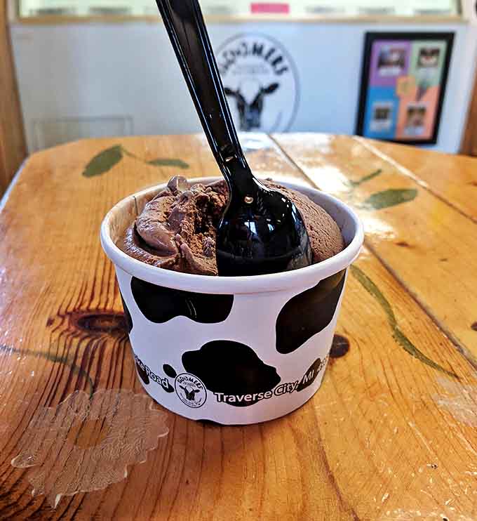 Rich chocolate ice cream so dark and intense, it makes other chocolate flavors look like they're not even trying.