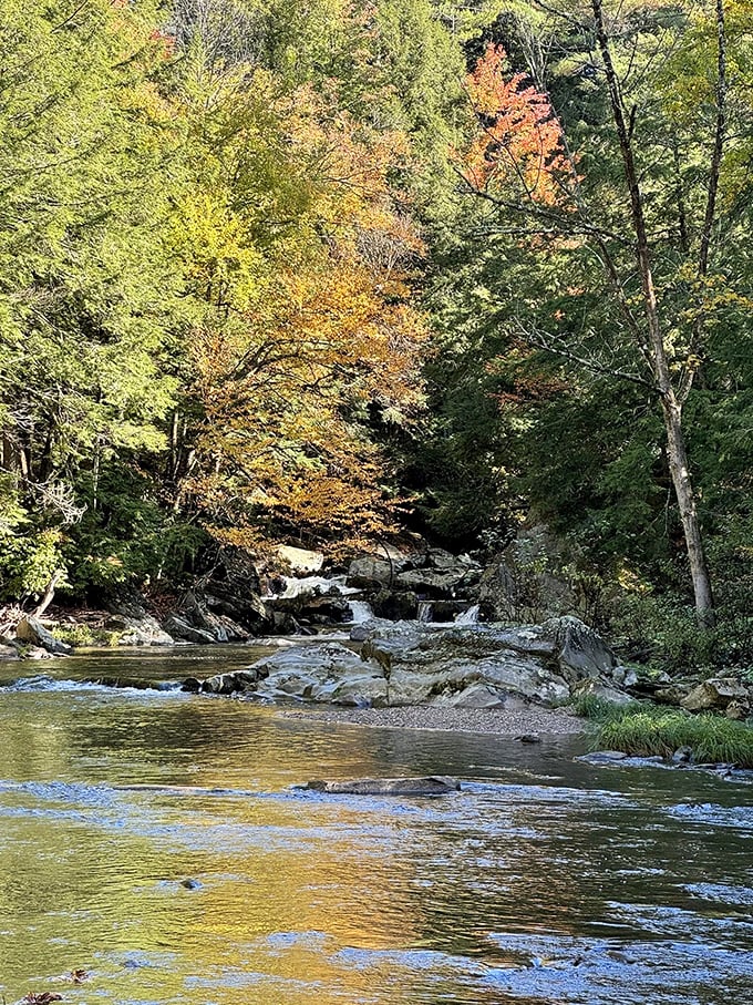 Golden reflections dance across the Winooski River, nature's own light show that no smartphone filter could ever improve.