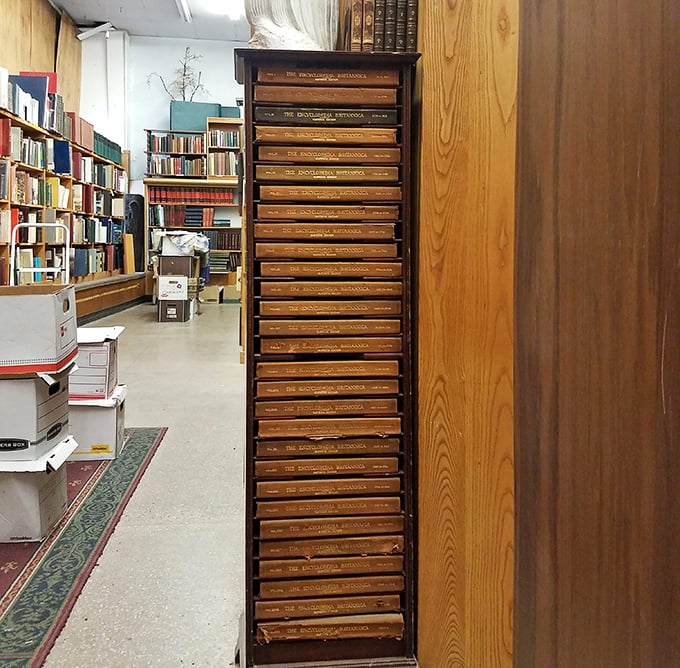 This impressive collection of matching encyclopedia volumes represents a pre-internet era when knowledge came bound in leather and required physical exploration.