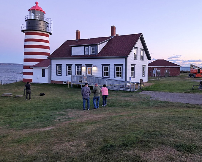Nature's cathedral: Towering spruce trees form a natural corridor, inviting hikers to discover what lies beyond the next turn.