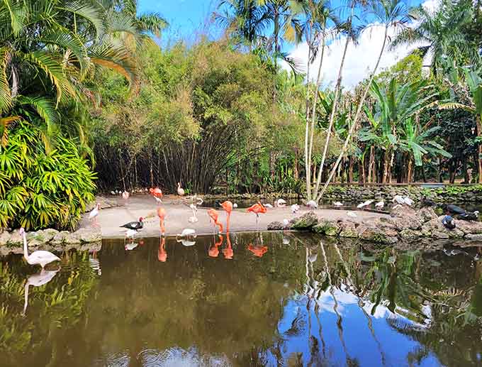 When the birds gather like this, it's nature's version of a neighborhood block party, feathers and all.