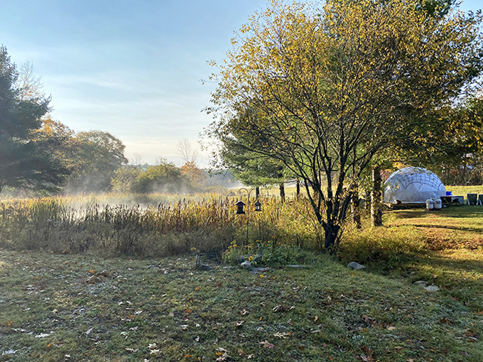 The dome emerges from morning mist like a bubble of civilization in nature's wild embrace.