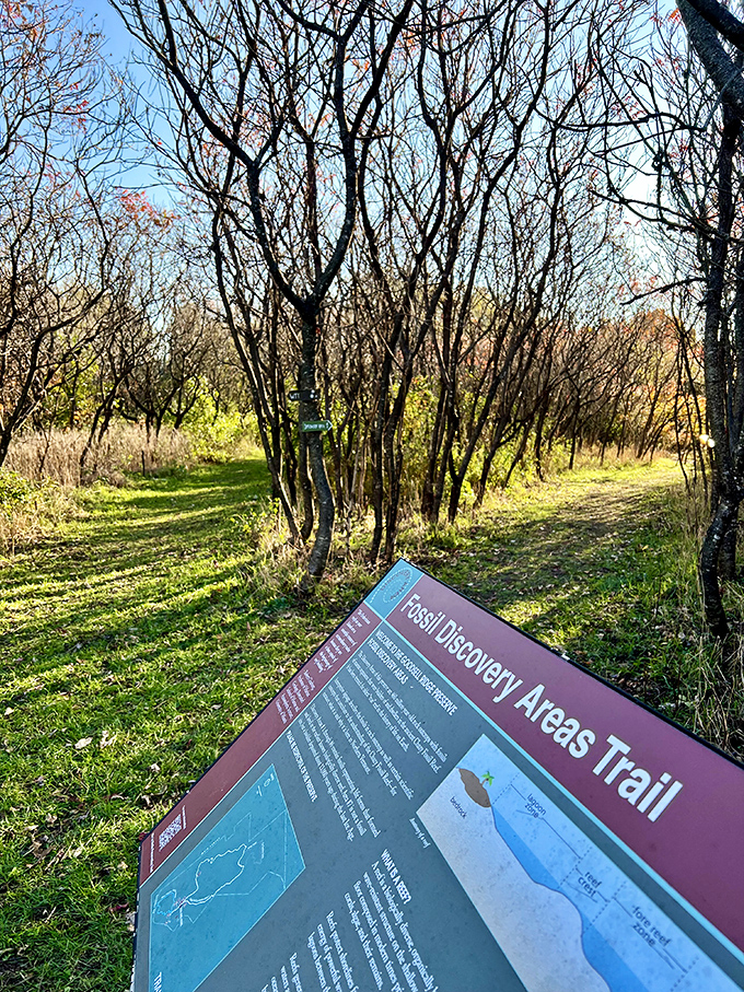 The Fossil Discovery Areas Trail sign stands as your invitation to become a temporary paleontologist &ndash; no degree required!