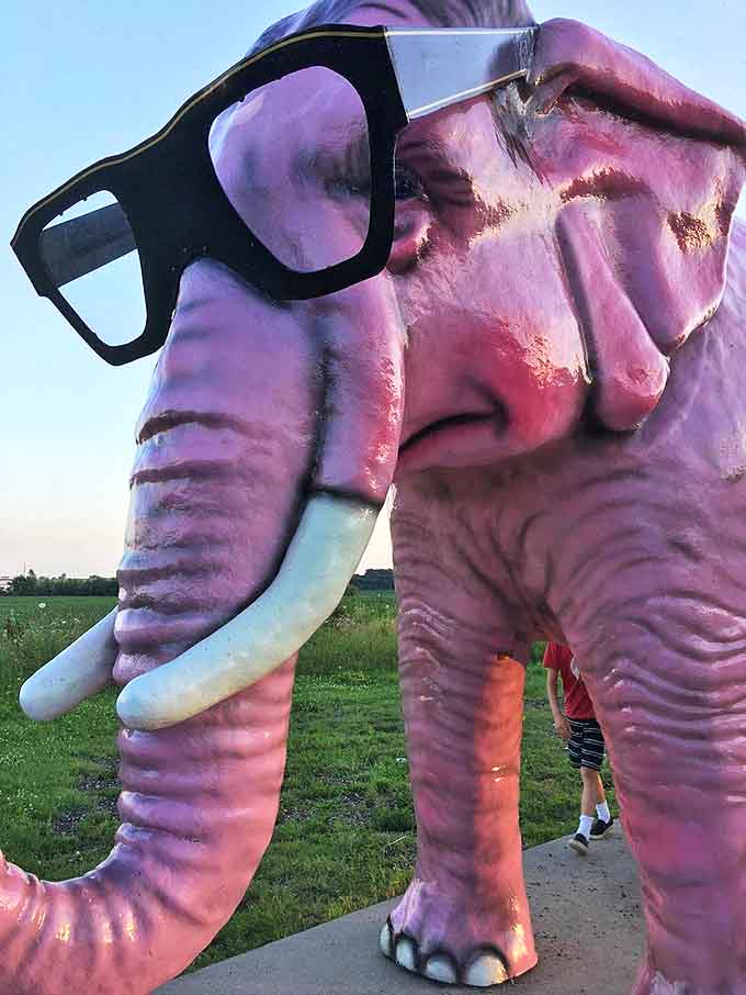 From this perspective, you can truly appreciate the engineering marvel that is a multi-ton pink elephant wearing fashionable eyewear.