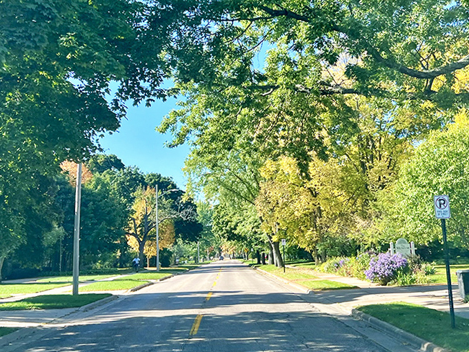 Tree-lined streets create natural tunnels of shade, where generations of kids have pedaled toward summer adventures and ice cream cones.
