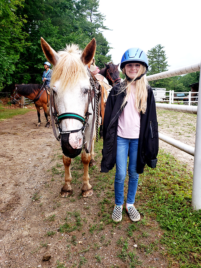The bond between horse and rider forms quickly, creating partnerships that transform ordinary winter days into extraordinary Maine adventures.