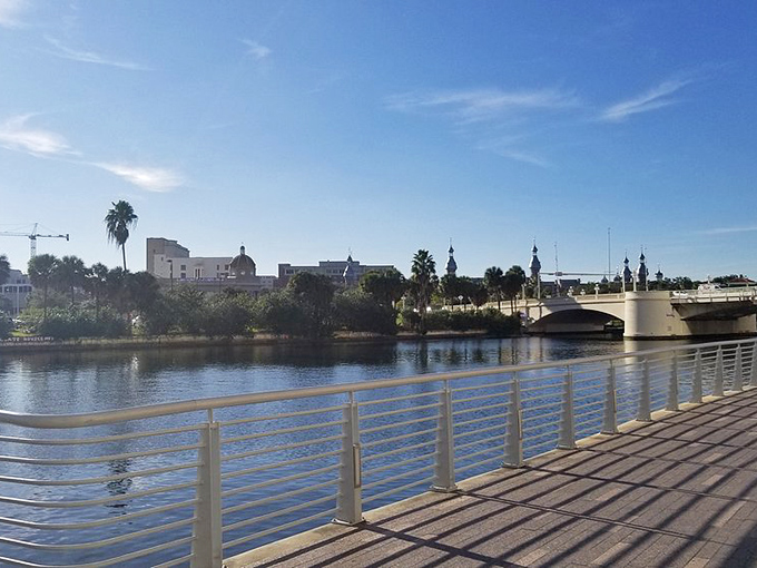 The Hillsborough River flows peacefully alongside the Riverwalk, creating a natural oasis in the heart of Tampa's urban landscape.