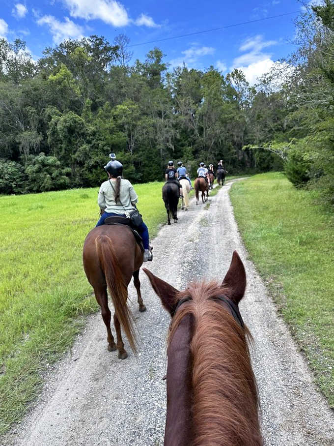 A peaceful trail ride through Florida's natural landscape offers a gentler way to experience The Canyons' breathtaking scenery.