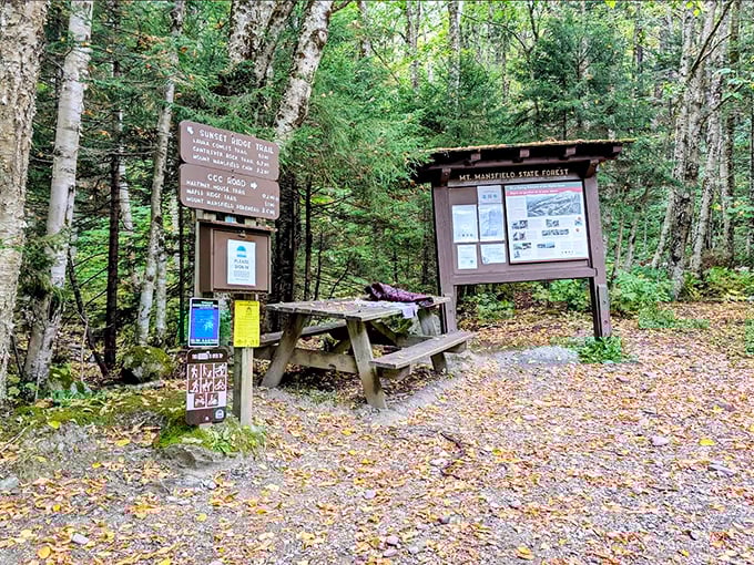 Information central for mountain explorers – these weathered boards hold the secrets to trails, wildlife, and alpine etiquette.