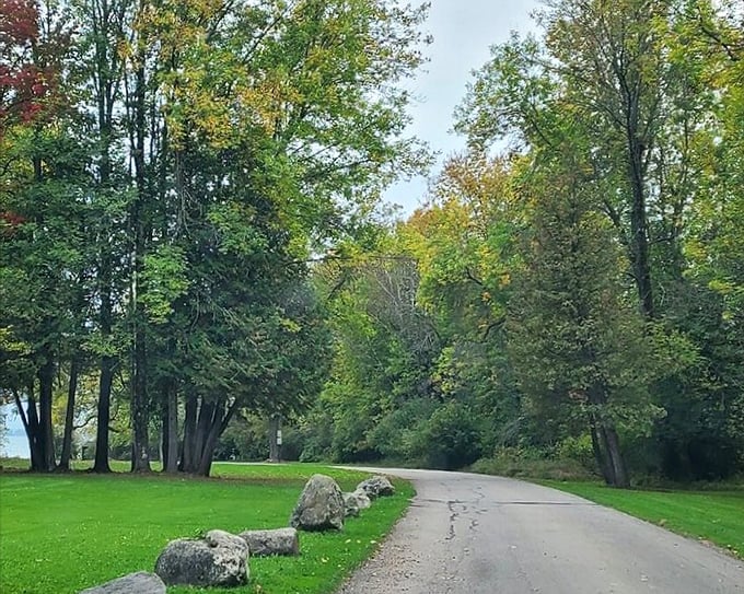 John Henes Park's winding paths lead through a green cathedral of trees, promising adventure just around the next bend.