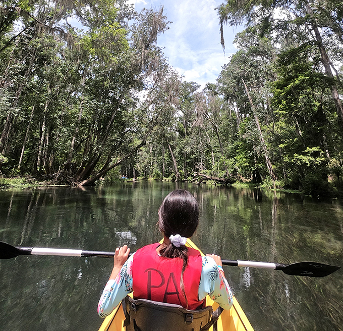 Spanish moss drapes from ancient cypress trees like nature's own decorating team went all out for your visit.