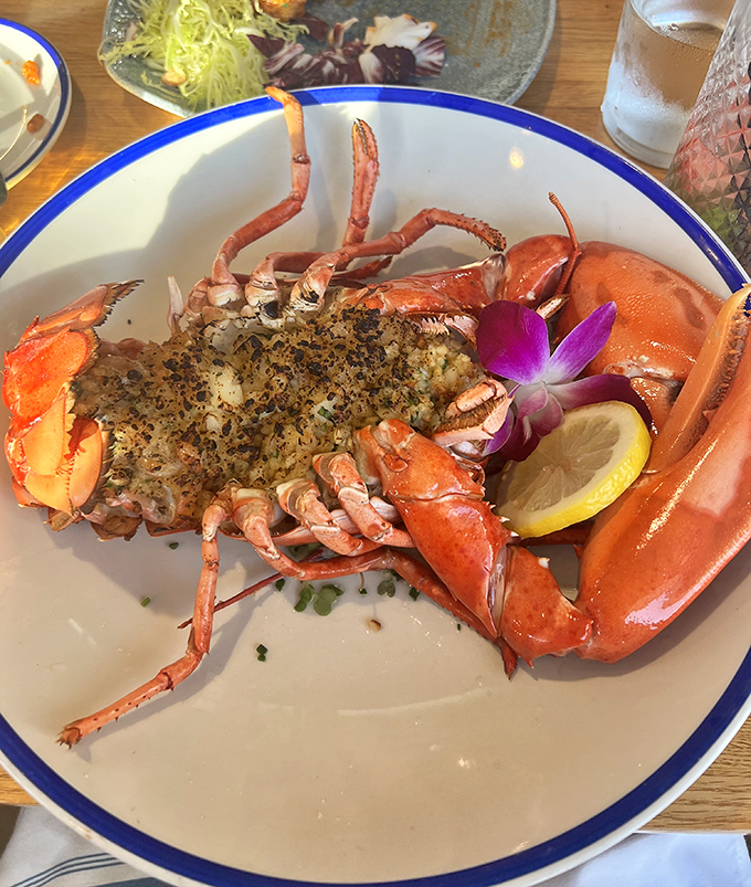 The stuffed lobster arrives like royalty on a plate. That purple garnish isn't just showing off &ndash; it's celebrating your excellent life choices.