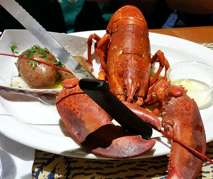 This crimson beauty, accompanied by drawn butter and a potato, represents the pinnacle of special occasion dining without any unnecessary pomp.