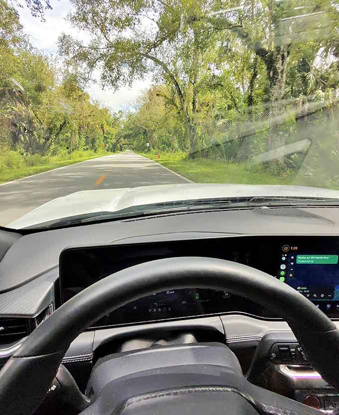 From behind the wheel, the tree tunnel transforms your daily driver into a time machine, transporting you to an era when roads were destinations, not just ways to get somewhere.