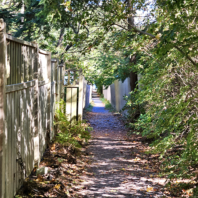 Sunlight dapples through trees along this secluded section, creating a secret garden feel between grand estates.