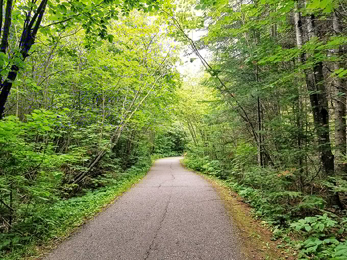This peaceful forest path leads to thunderous excitement &ndash; the contrast is half the fun of the journey.