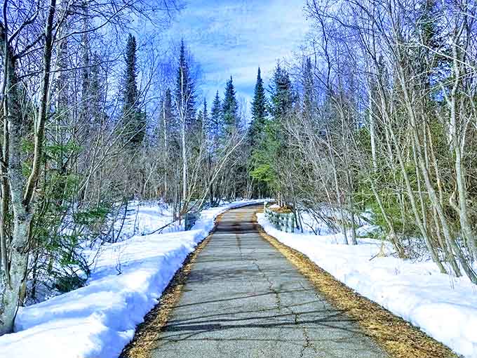 Winter transforms the paved trail into a snow-lined corridor between frosted pines, proving Minnesota's beauty doesn't hibernate when temperatures drop.