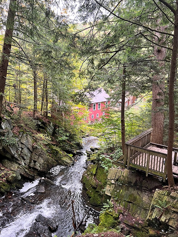 Like something from a storybook, this historic red building peeks through the forest, proving humans and nature can be stylish roommates.