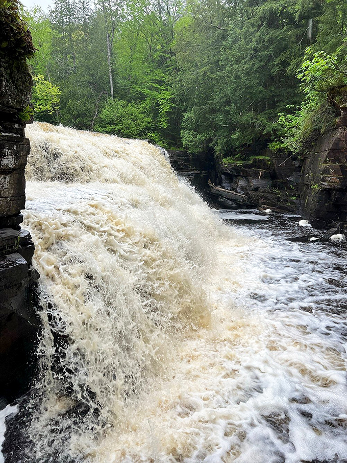 After heavy rains, the falls transform from gentle cascade to thundering torrent, showing Mother Nature's impressive mood swings.