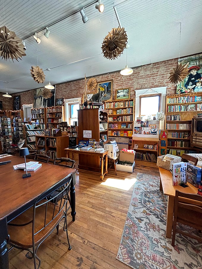 Sunlight streams across carefully arranged displays, illuminating pathways through worlds of fiction, history, and imagination.